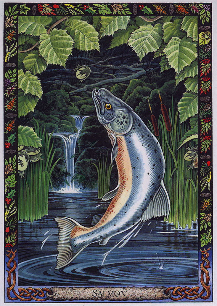Thirty Days of Druidry 14: Dragon Wisdom | A Druid Way