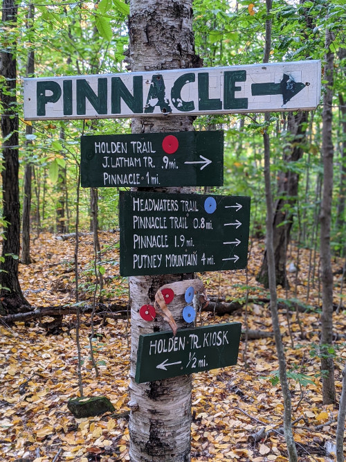 The Other Three Corners | A Druid Way